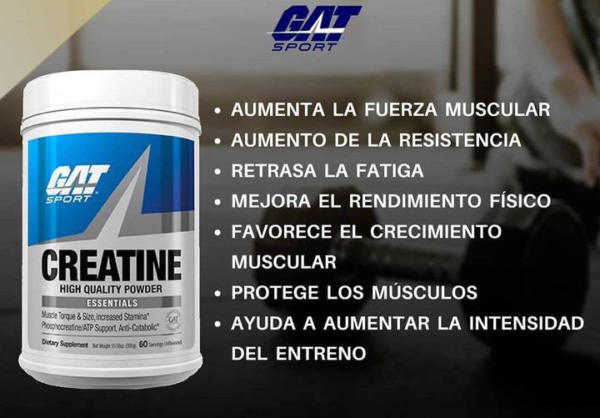 CREATINA GAT MONOHIDRATADA (300 Gr) - Dasha Fitness | Tienda de ...